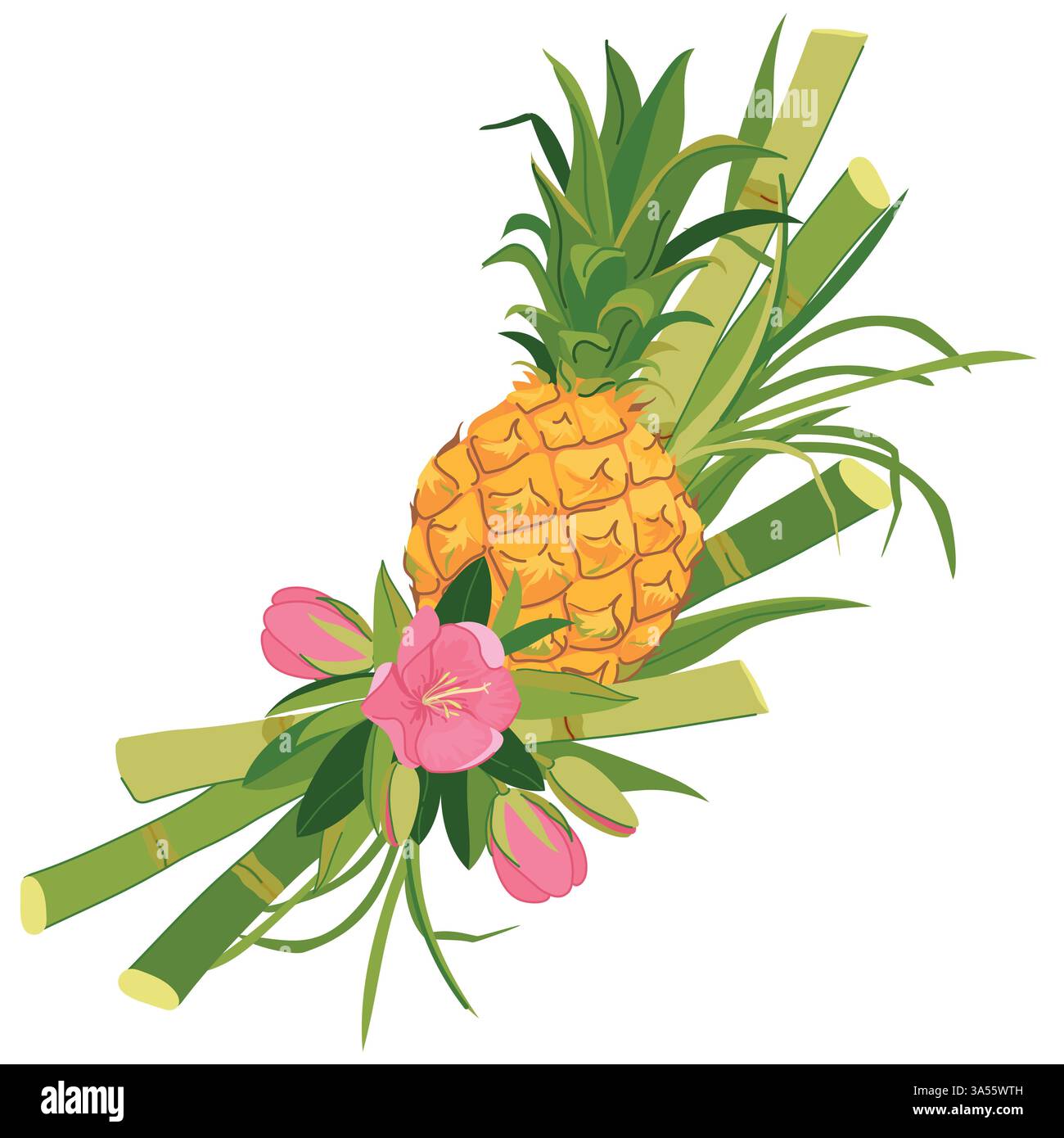 Vector sticker with pineapple, sugar cane and flowers. Tropical ...