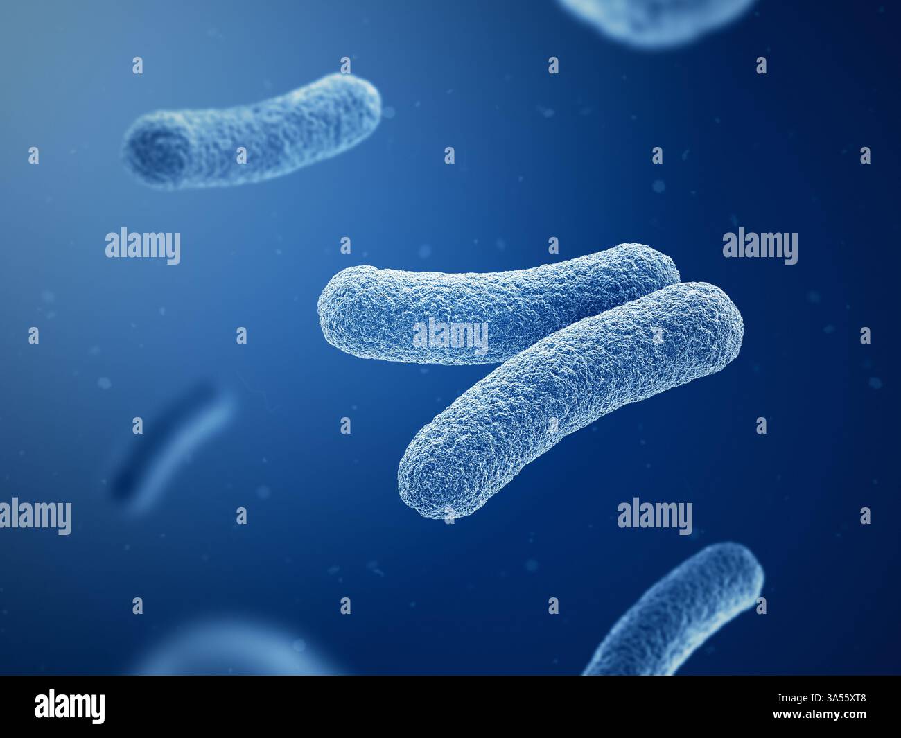 Bacteria. Bacterium. Blue color. 3d illustration Stock Photo - Alamy
