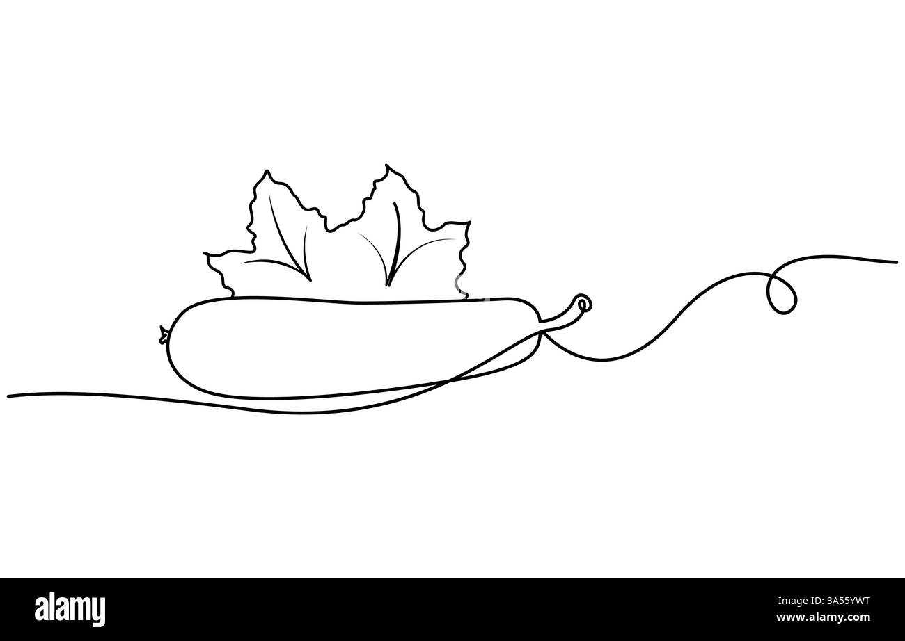 One continuous line drawing Bottle Gourd Stock Vector Image & Art - Alamy