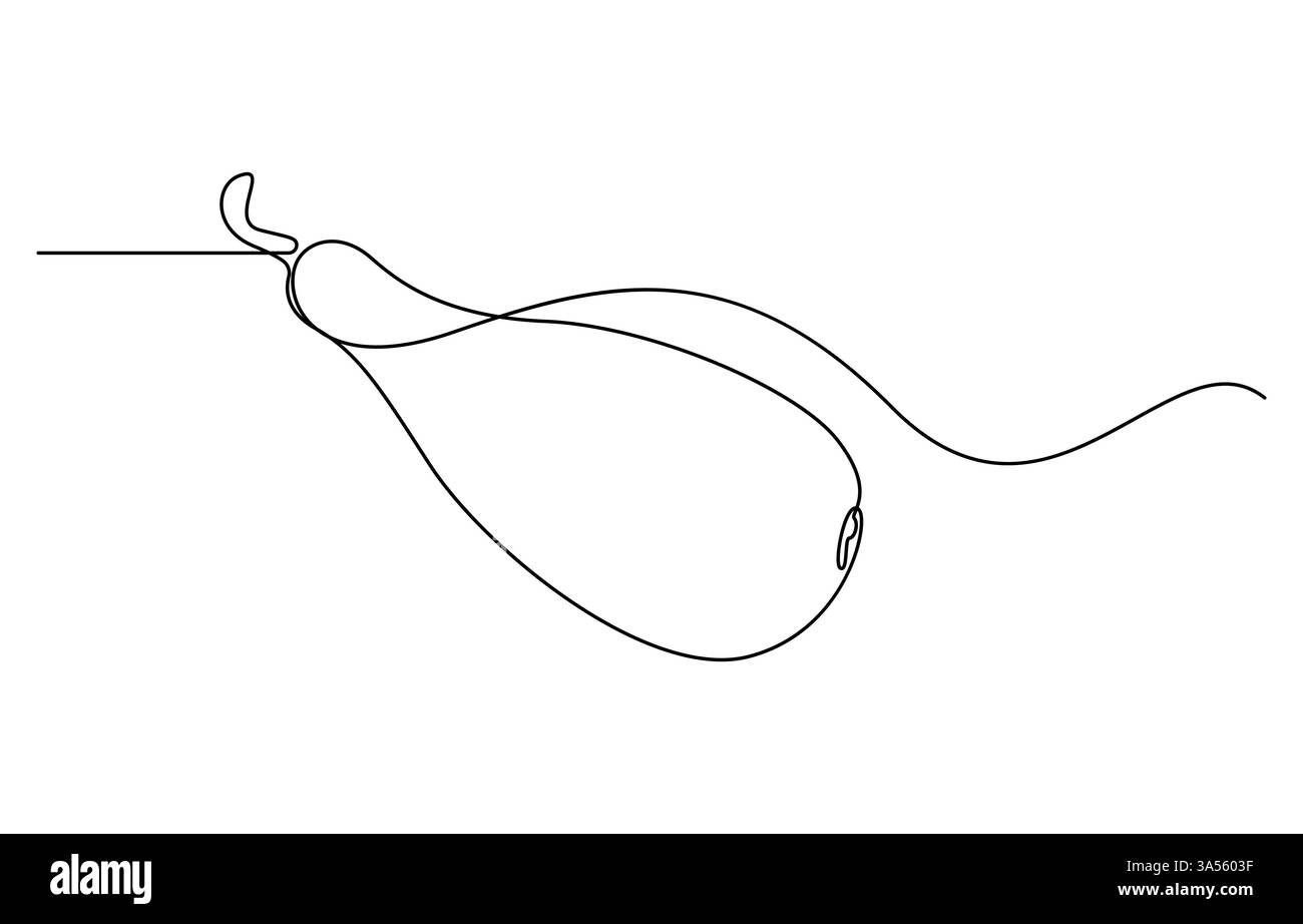 One continuous line drawing Bottle Gourd Stock Vector Image & Art - Alamy