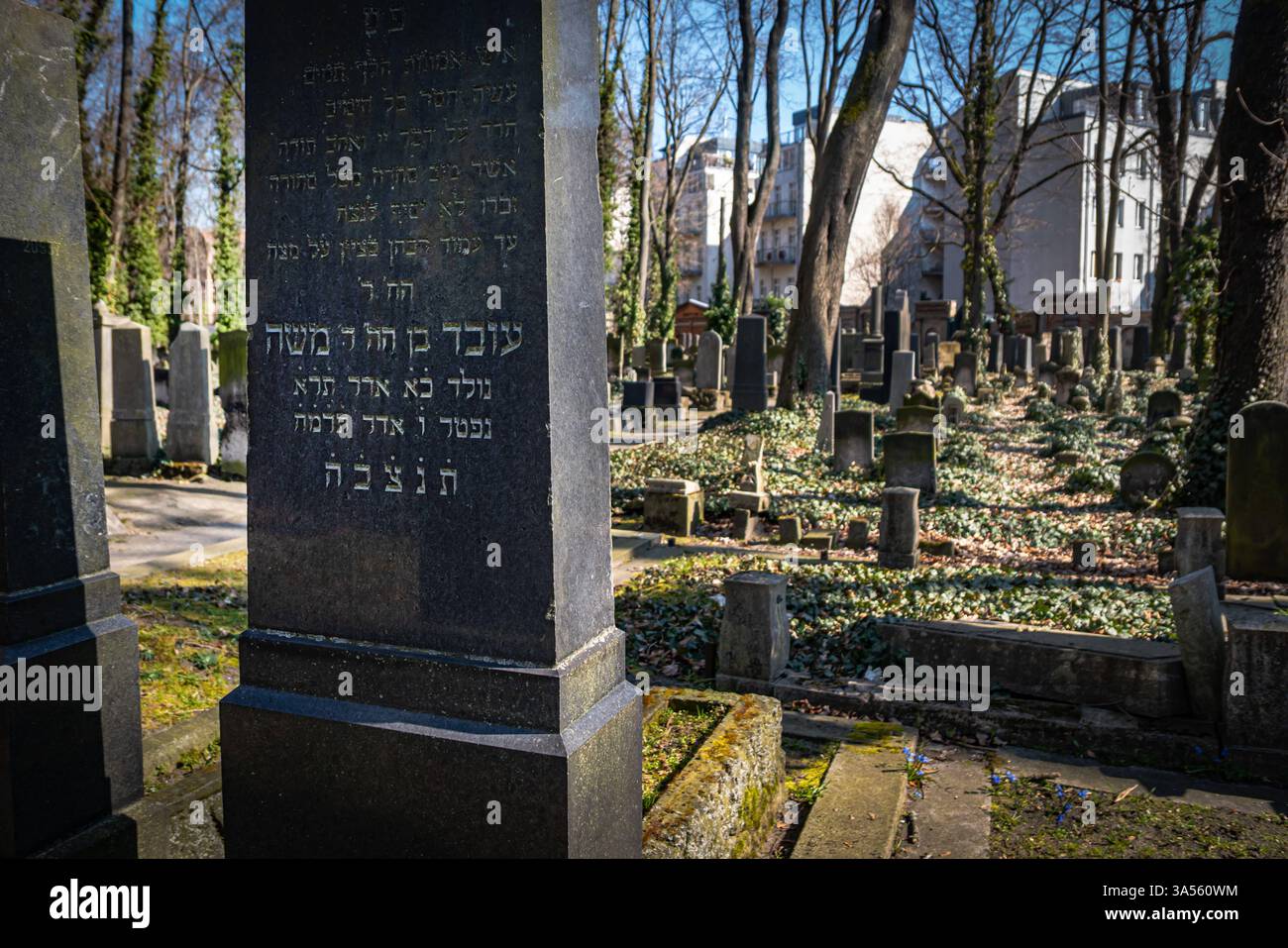 Berlin Pankow OT Prenzlauer Berg Jüdischer Friedhof, Schönhauser Allee ...