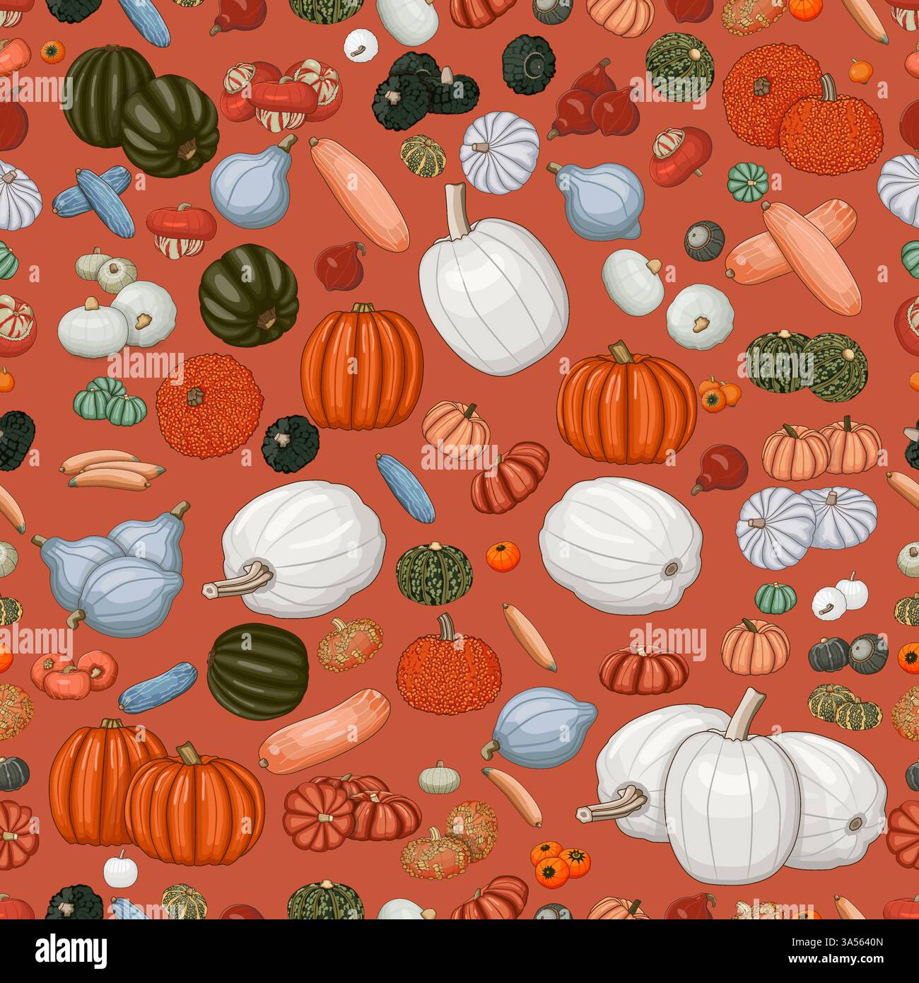 Seamless pattern with types of winter squash. Cucurbita maxima ...