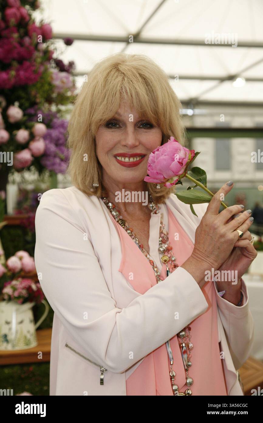 Joanna Lumley at The Chelsea Flower Show 2015 in London - 18 May 2015 ...