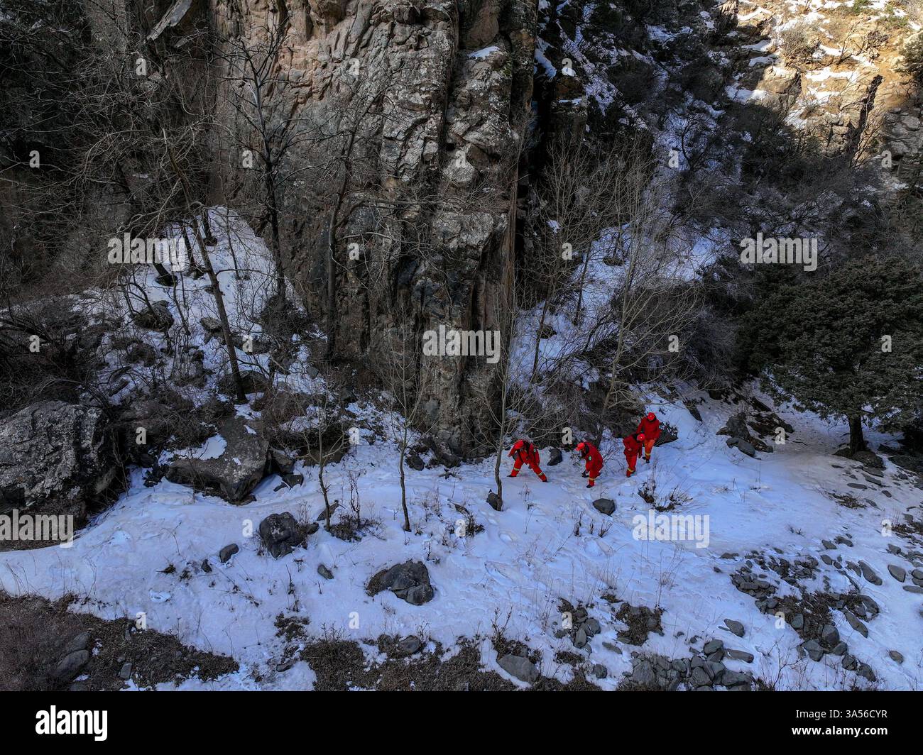 (250321) -- ALXA, March 21, 2025 (Xinhua) -- A drone photo shows forest ...