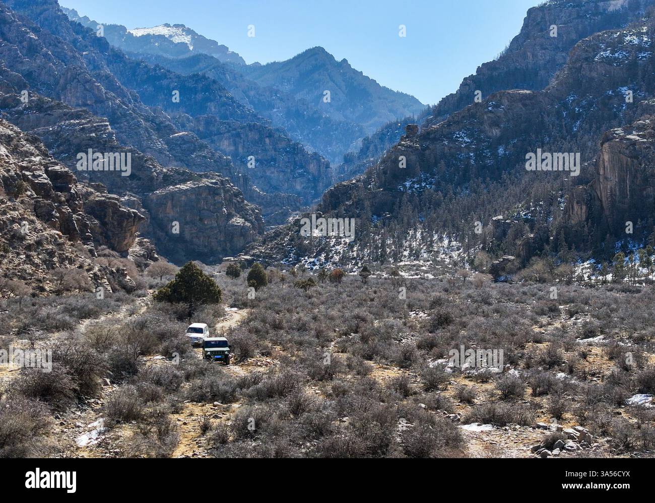 (250321) -- ALXA, March 21, 2025 (Xinhua) -- A drone photo shows forest ...