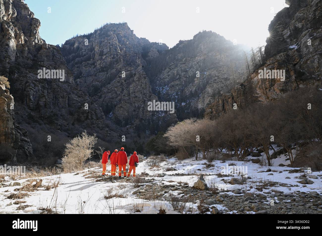 (250321) -- ALXA, March 21, 2025 (Xinhua) -- Forest rangers patrol at ...