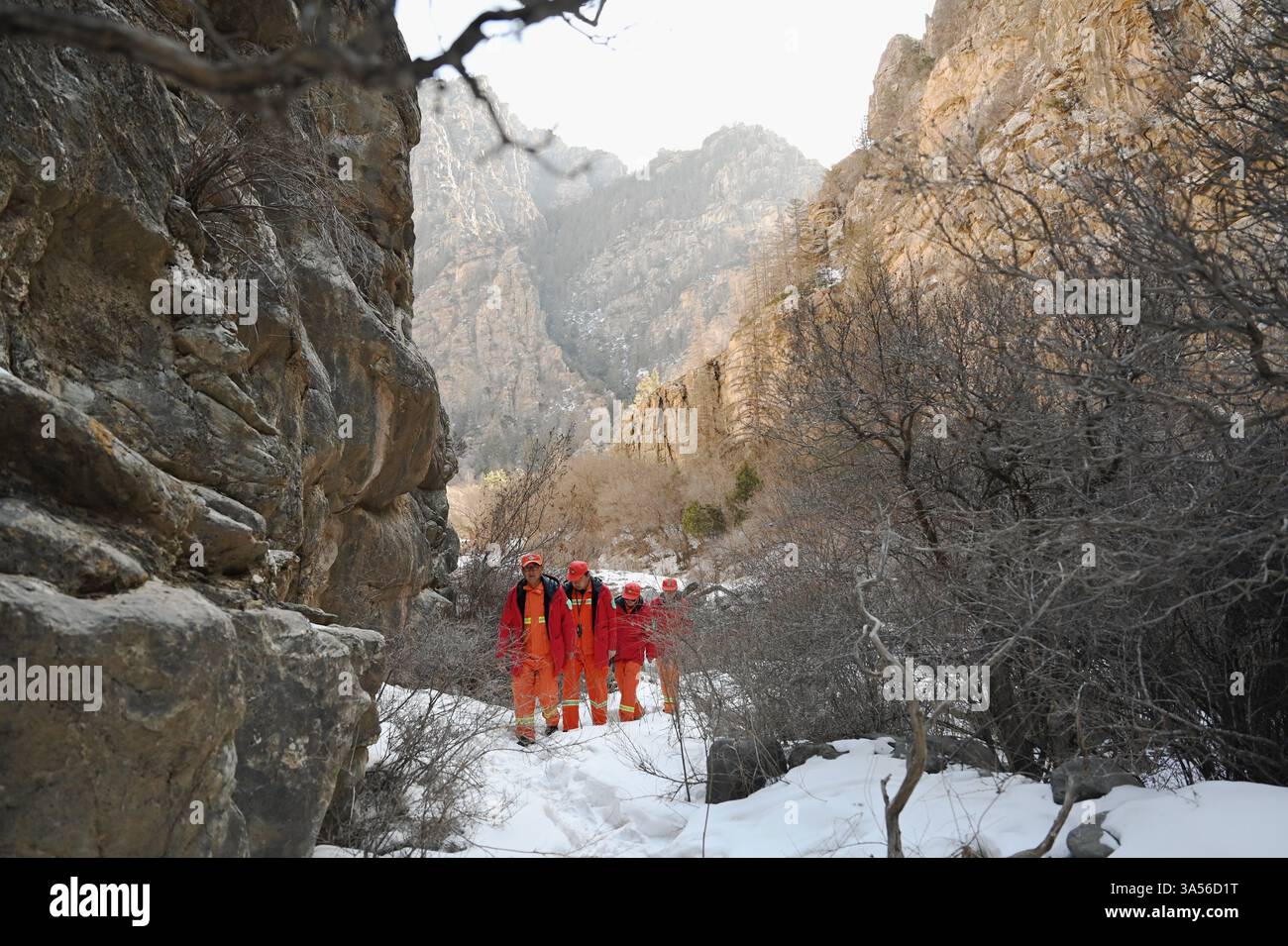 (250321) -- ALXA, March 21, 2025 (Xinhua) -- Forest rangers patrol at ...