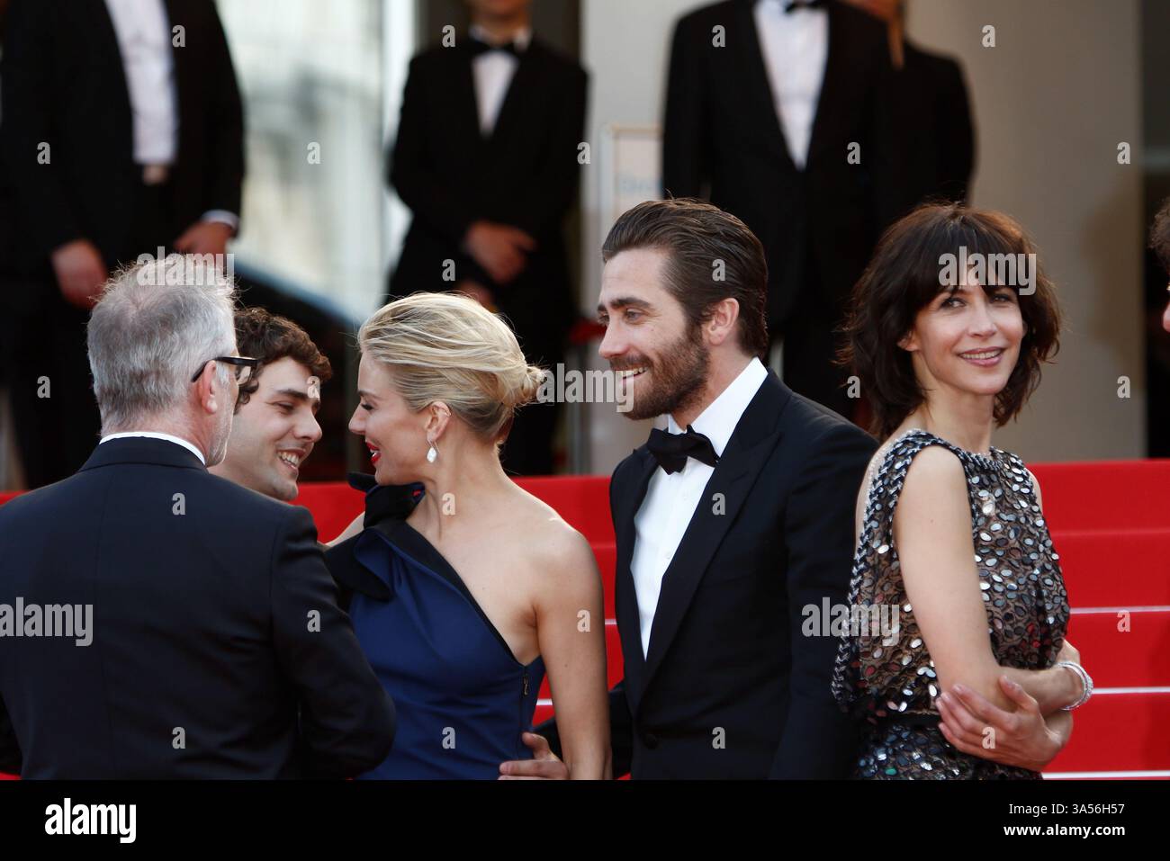 Jury members Xavier Dolan (l-r), Sienna Miller, Jake Gyllenhaal, Sophie ...