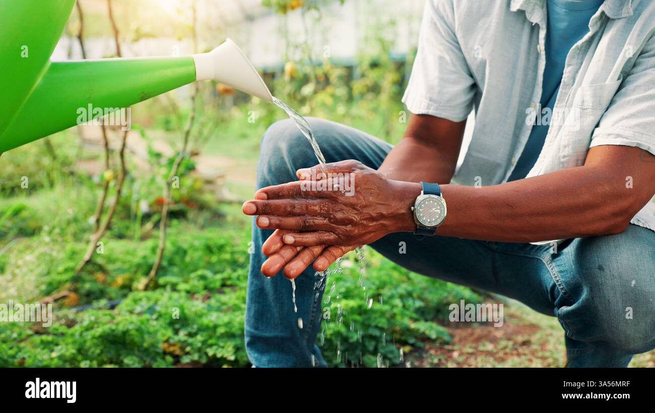 Hands, farm and cleaning with watering can, person and splash for ...