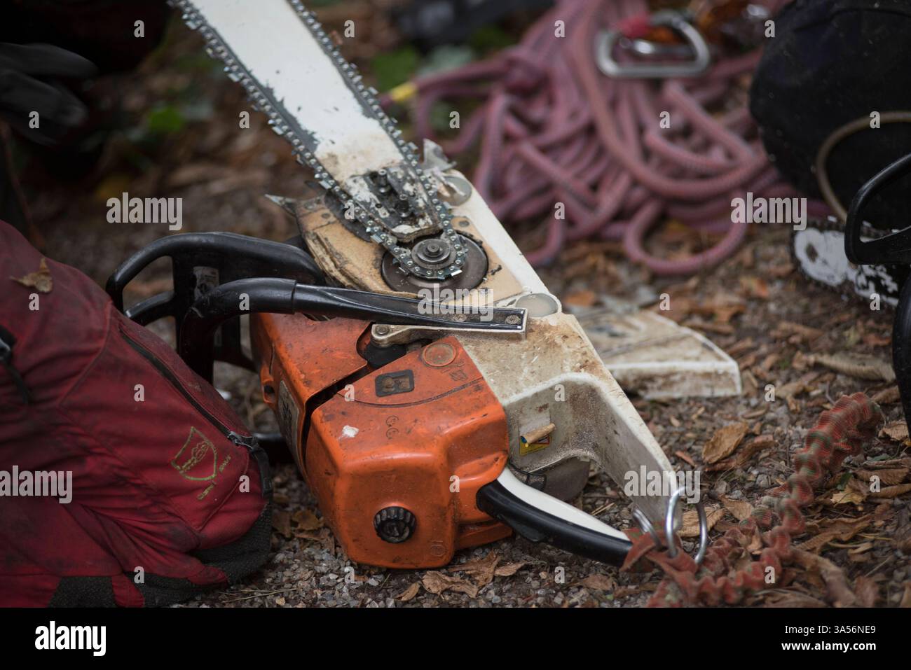 chainsaw for tree cut or tree pruning as part of tree care chainsaw for ...
