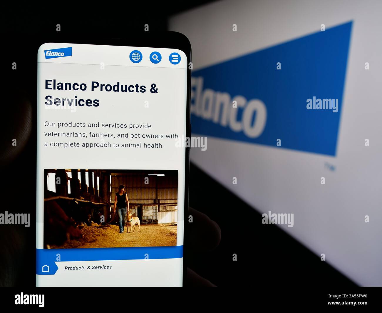 Stuttgart, Germany - 11-07-2024: Person holding cellphone with web page ...