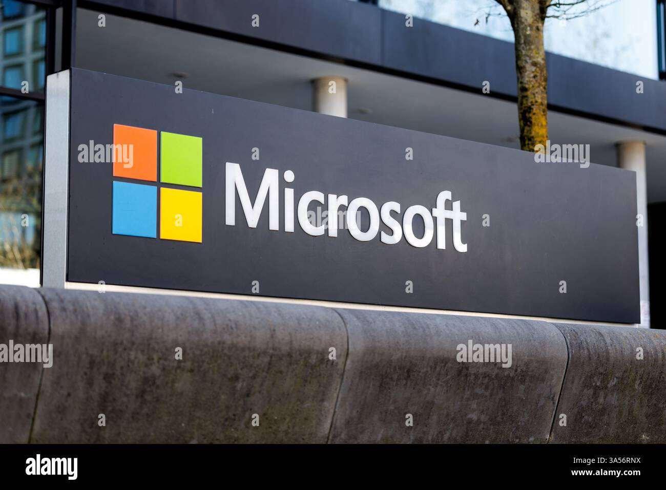 Munich, Germany. 20th Mar, 2025. The Microsoft logo and lettering can ...