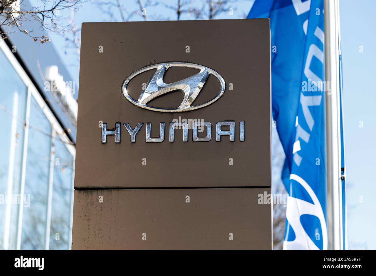 Munich, Germany. 20th Mar, 2025. The brand logo of the Hyundai Motor ...
