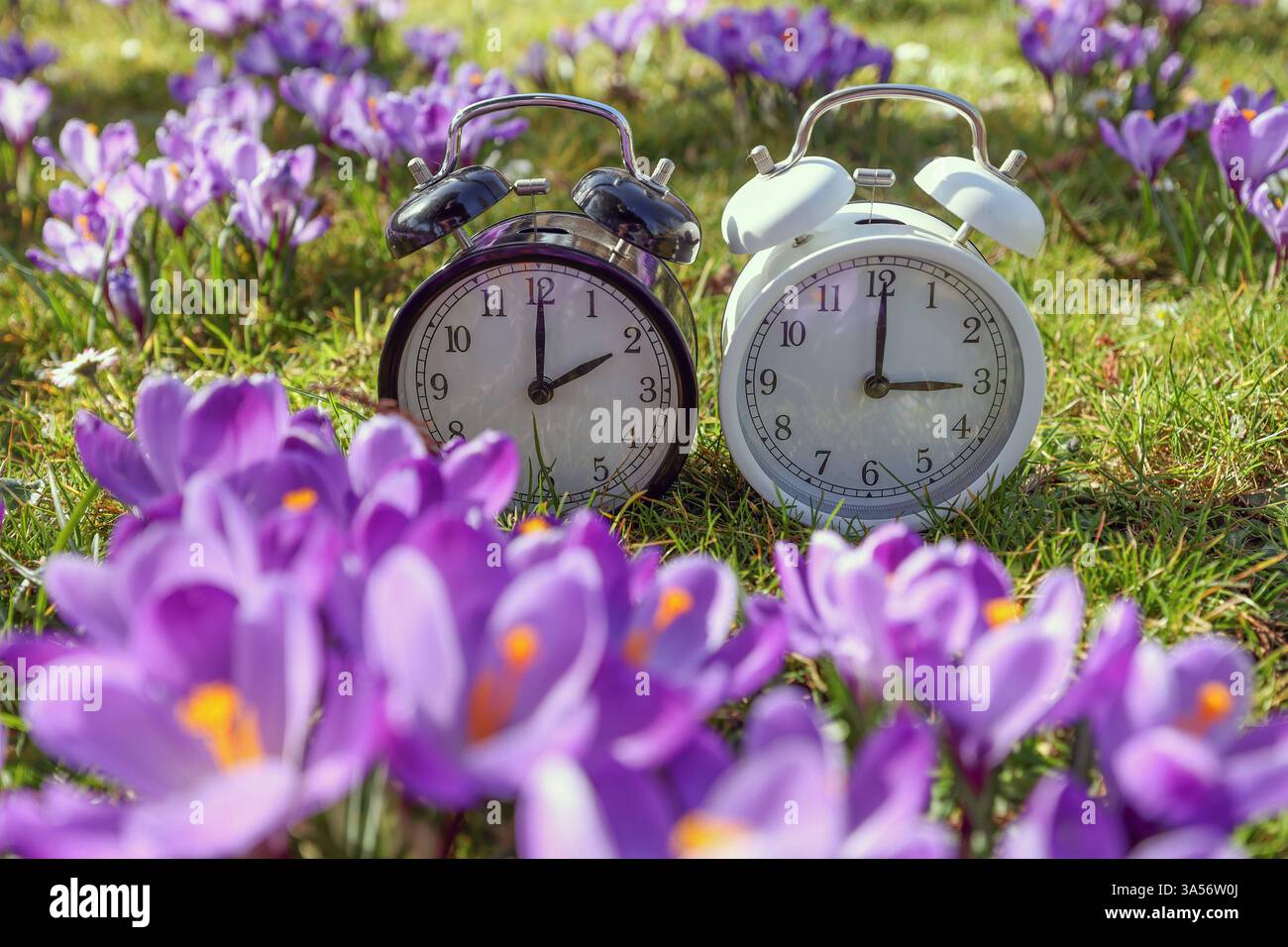 Ein Wecker zeigt zwei Uhr und der andere drei Uhr. Die Uhren werden am ...