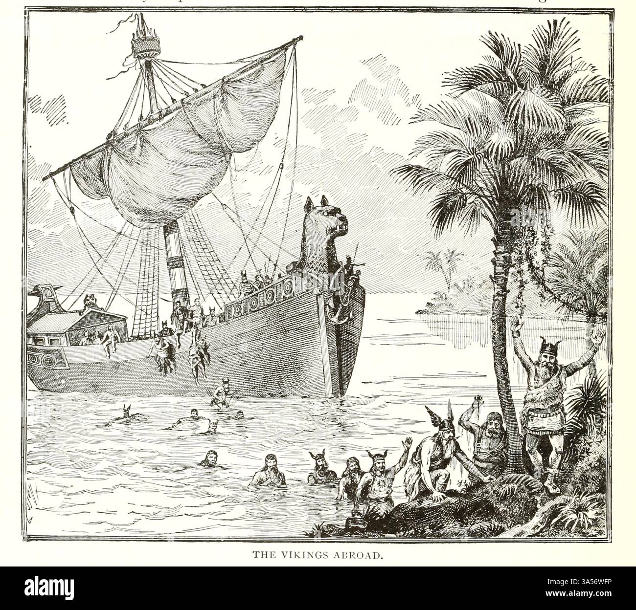 THE VIKINGS ABROAD. The West Aryans THE NORSE RACES. The Norwegians ...