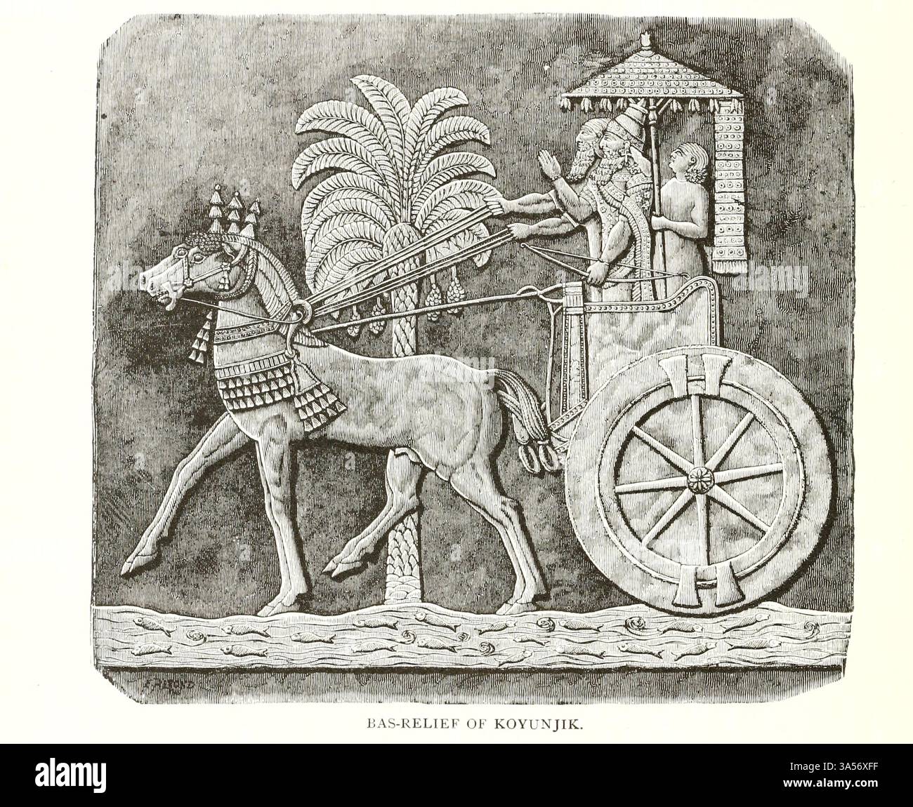 Hamite hi-res stock photography and images - Alamy