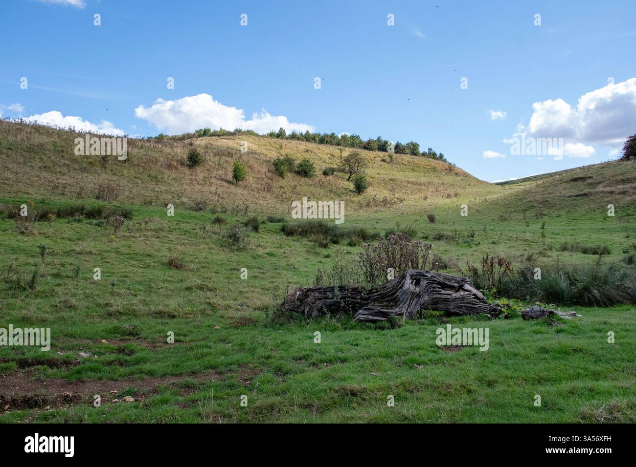 English log grass wood hi-res stock photography and images - Alamy