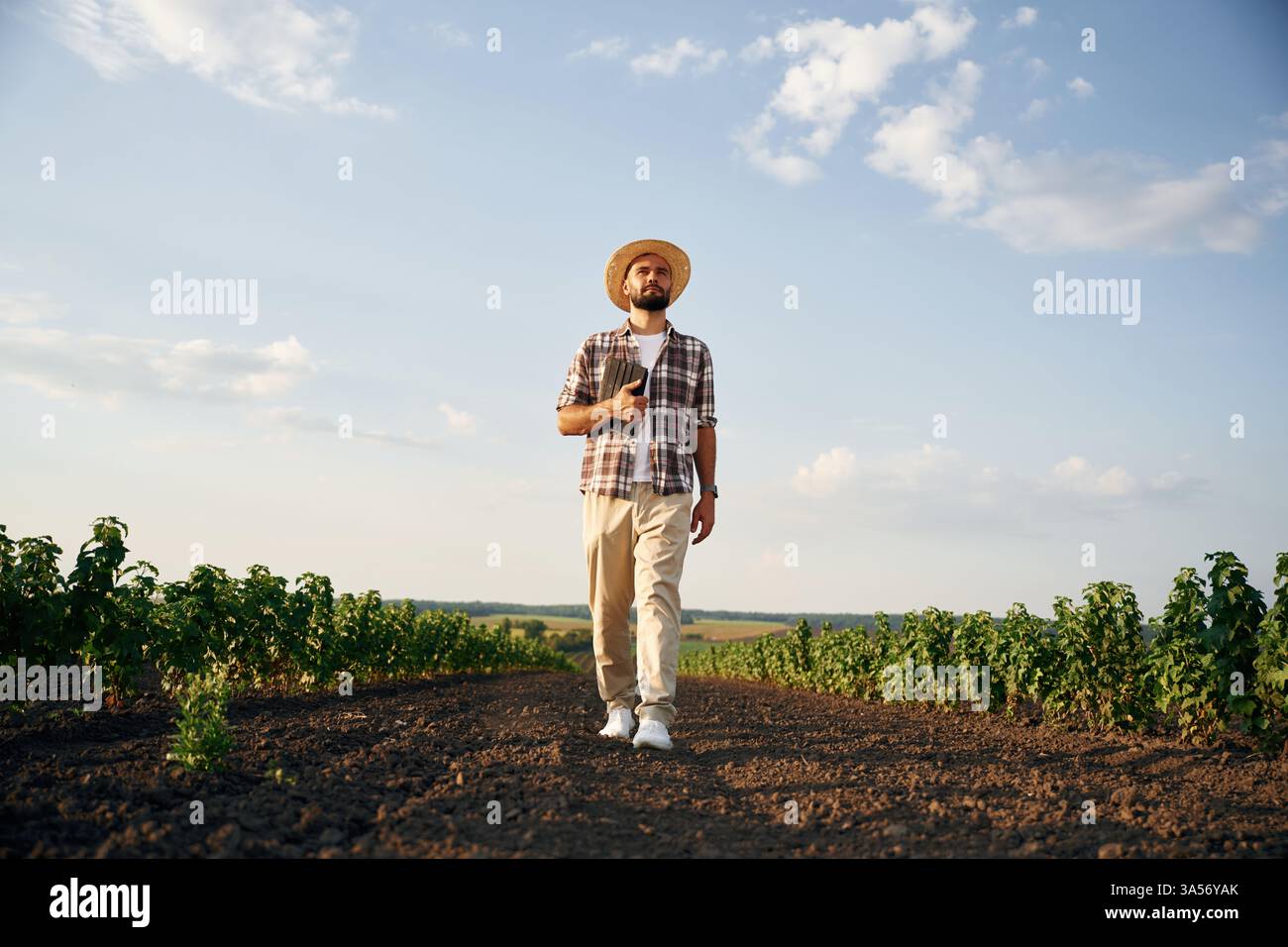 Front view, walking forward. Farmer is on the agricultural field Stock ...