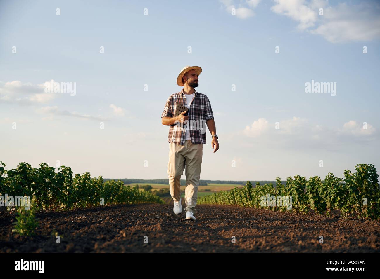 Front view, walking forward. Farmer is on the agricultural field Stock ...
