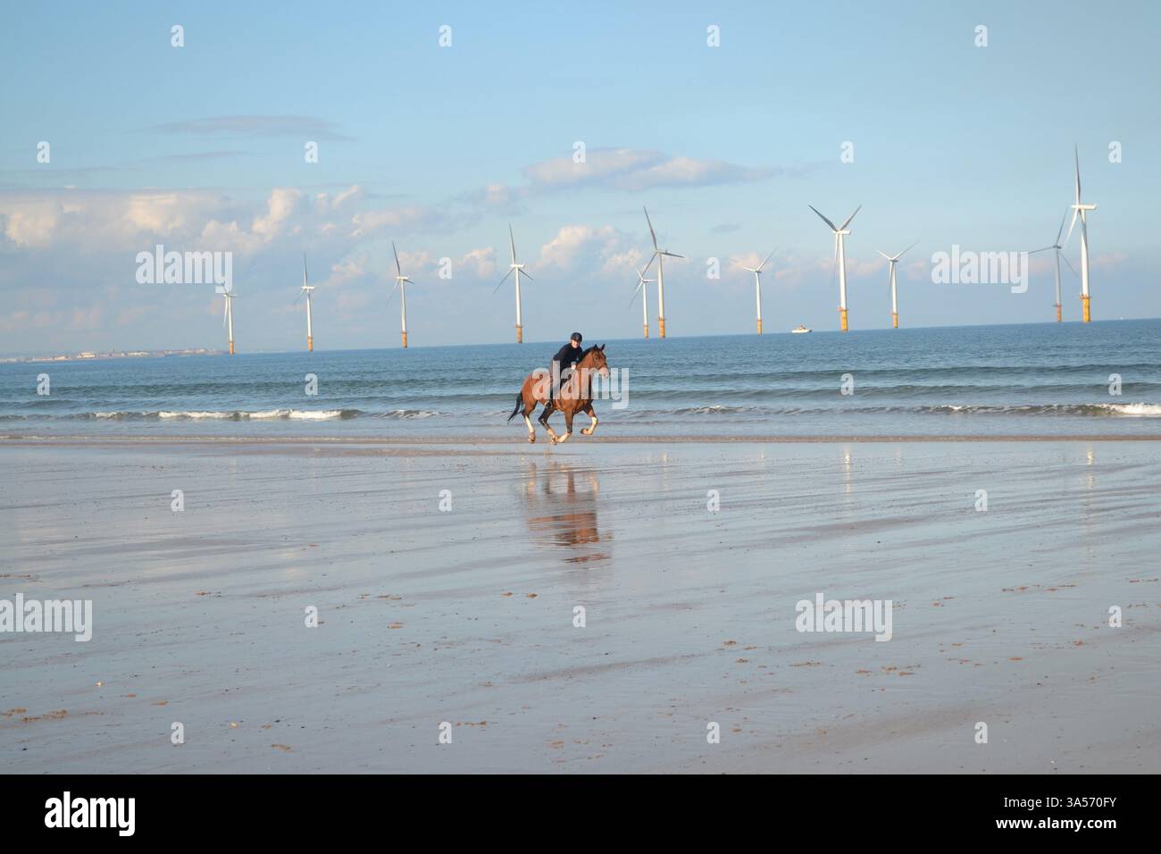 Horse and rider galloping along the beach with offshore wind turbines ...