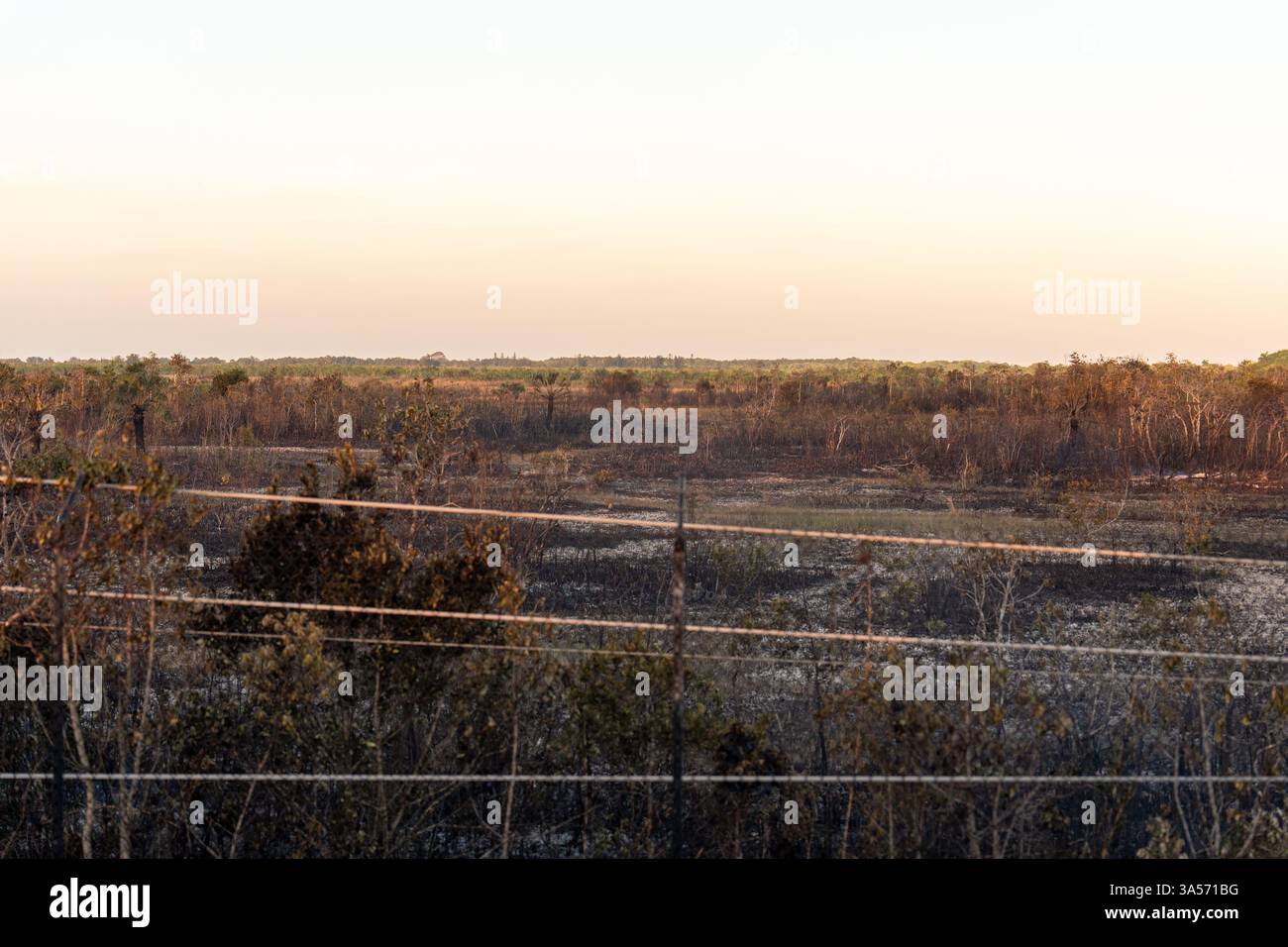 Miami Dade County, United States. 21st Mar, 2025. Scorched land burned ...