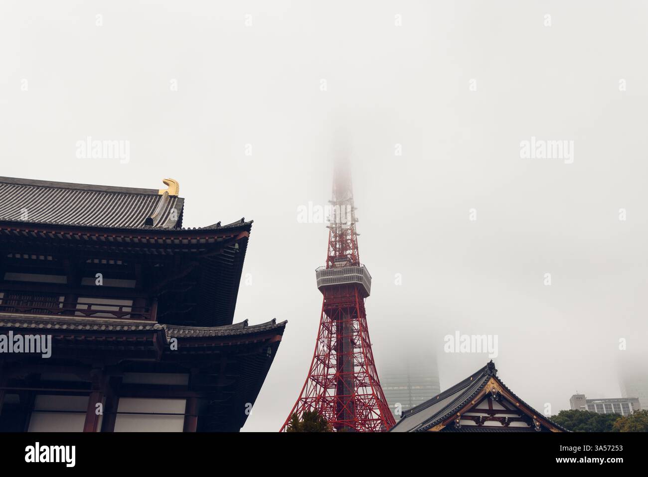 Zojo-ji temple with its dark wooden roof contrasts against the mist-covered Tokyo Tower ...