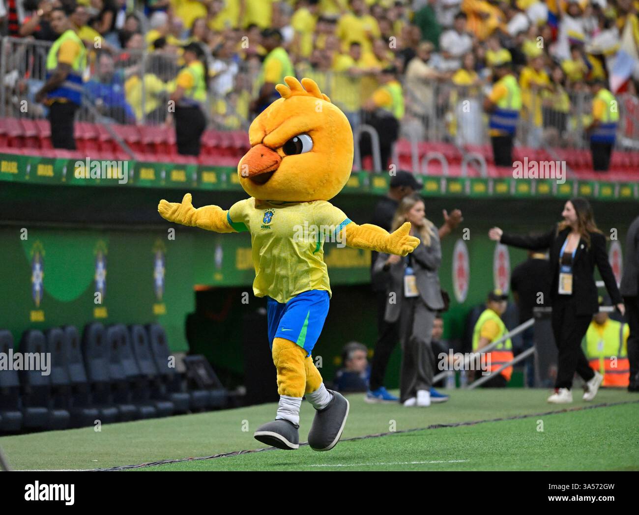 Garrincha hi-res stock photography and images - Alamy