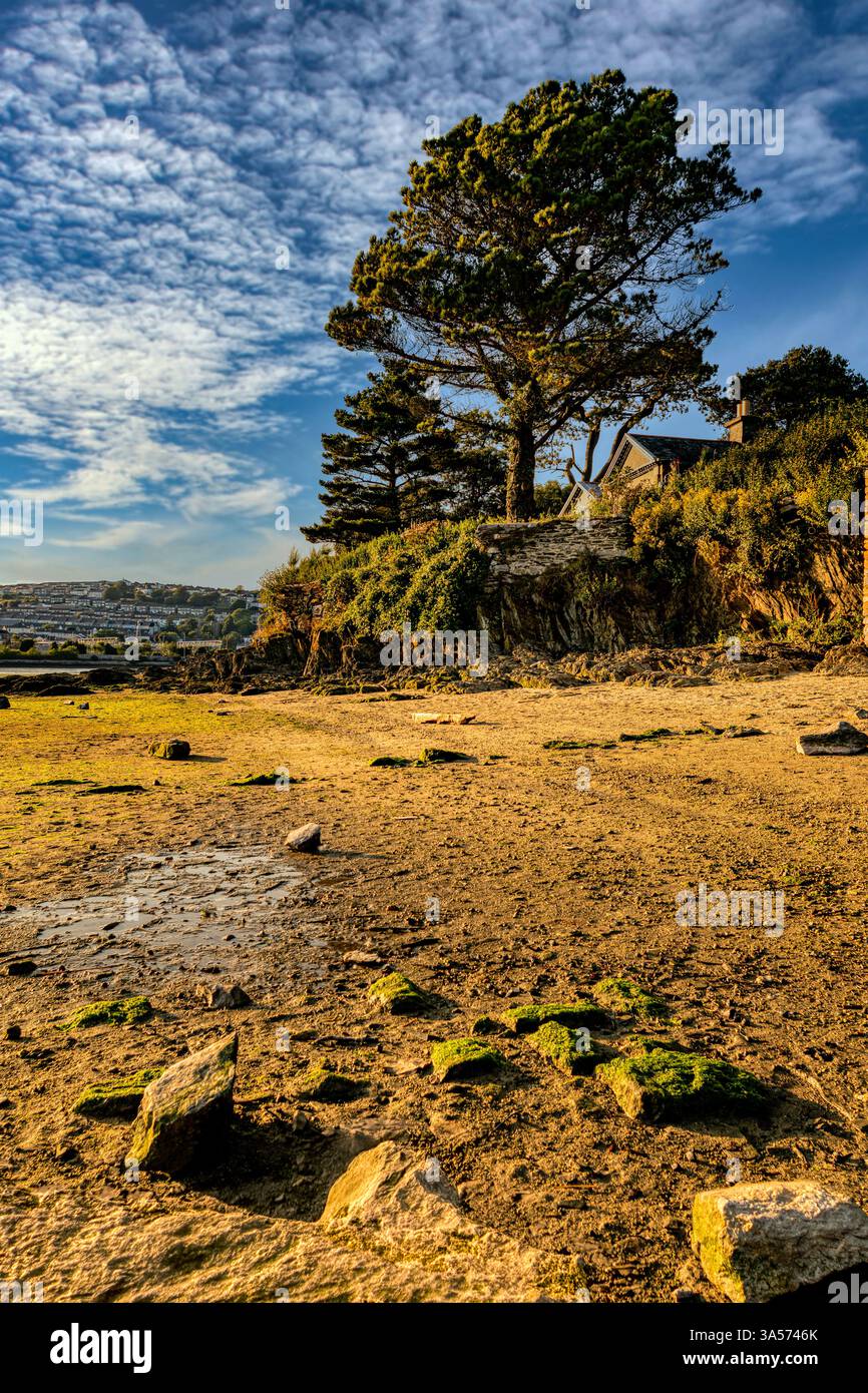 Point Beach within Saltram house in Plymouth Stock Photo - Alamy