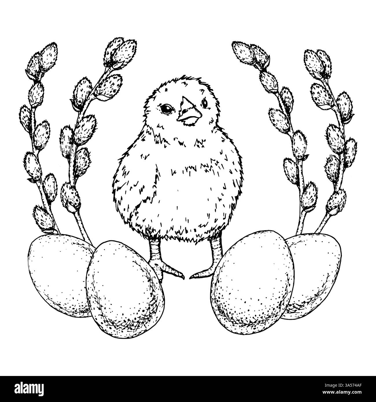 Hand-drawn ink illustration of a fluffy chick with eggs and willow ...