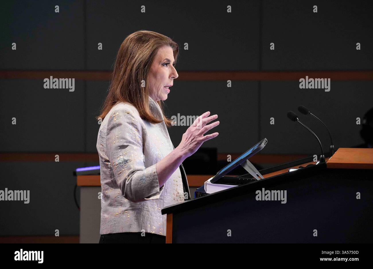 Tammy bruce hi-res stock photography and images - Alamy