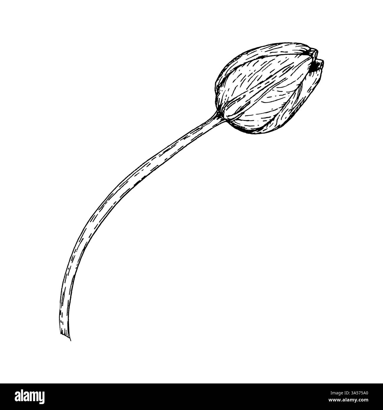 Floral gardening Black and White Stock Photos & Images - Alamy