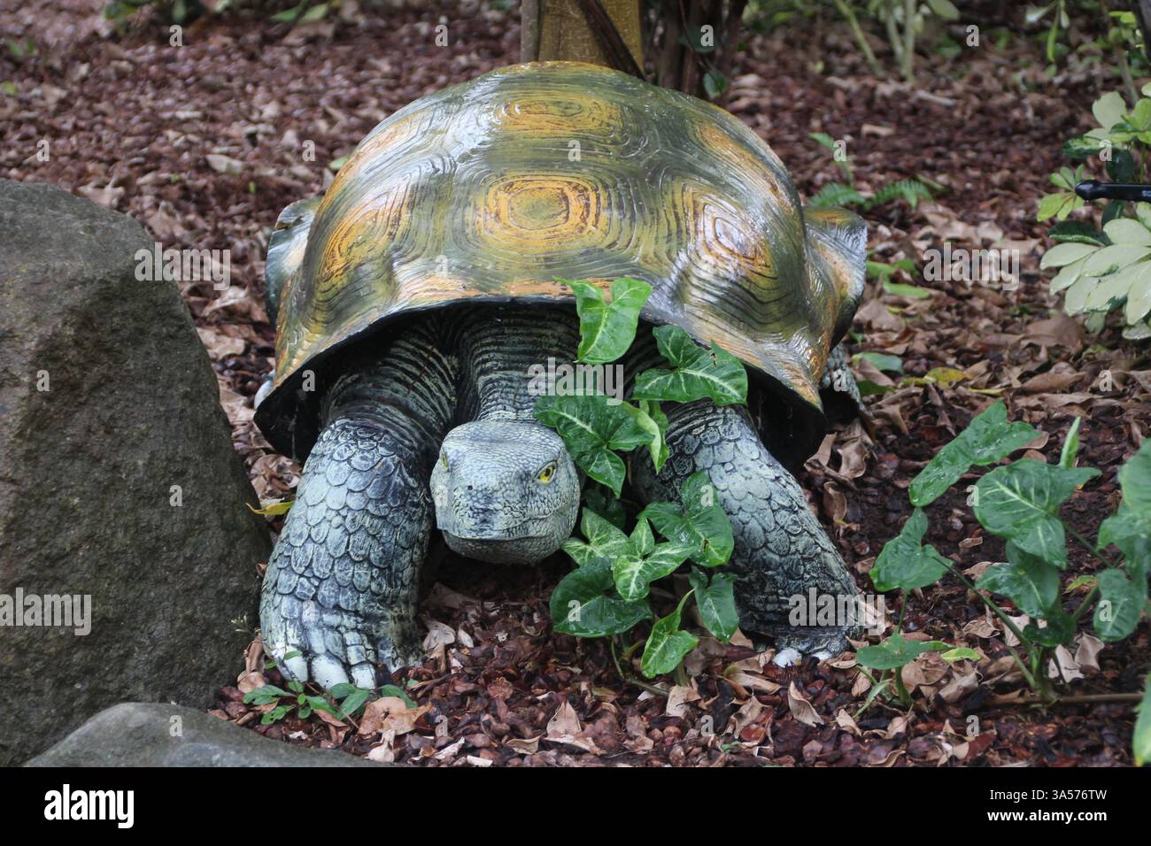 Big turtle hi-res stock photography and images - Alamy