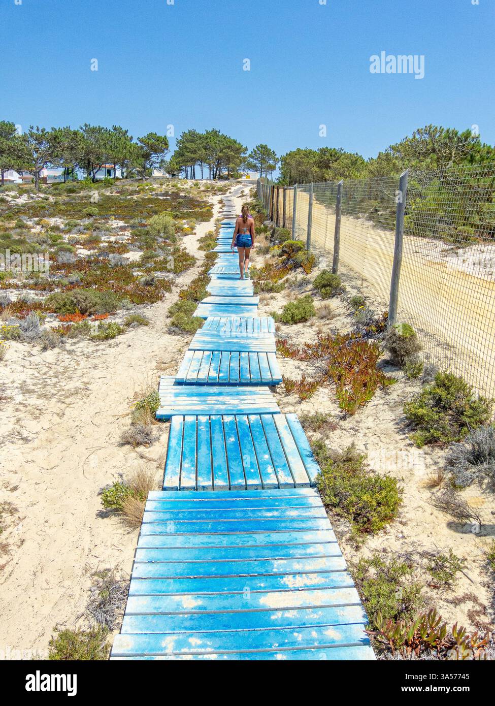 Blue painted wooden walkway in Melides-Grandola beach area-Portugal.3-3 ...