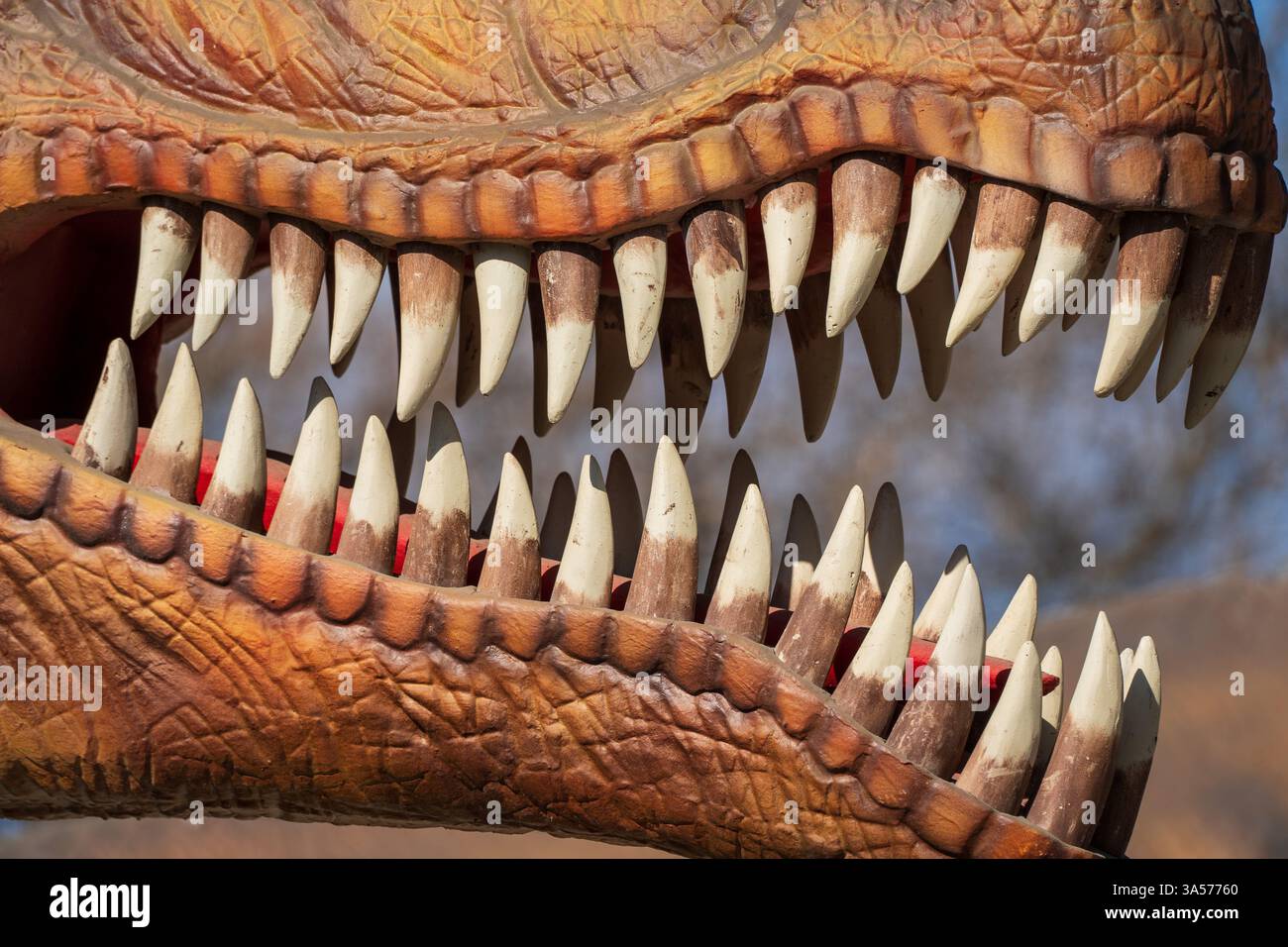 Mouth of the Beast – Prehistoric Predator’s Sharp Teeth Stock Photo - Alamy