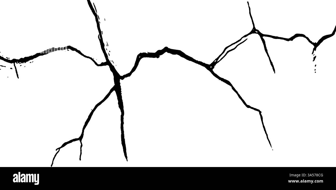 A black and white illustration of cracked surfaces resembling tree ...