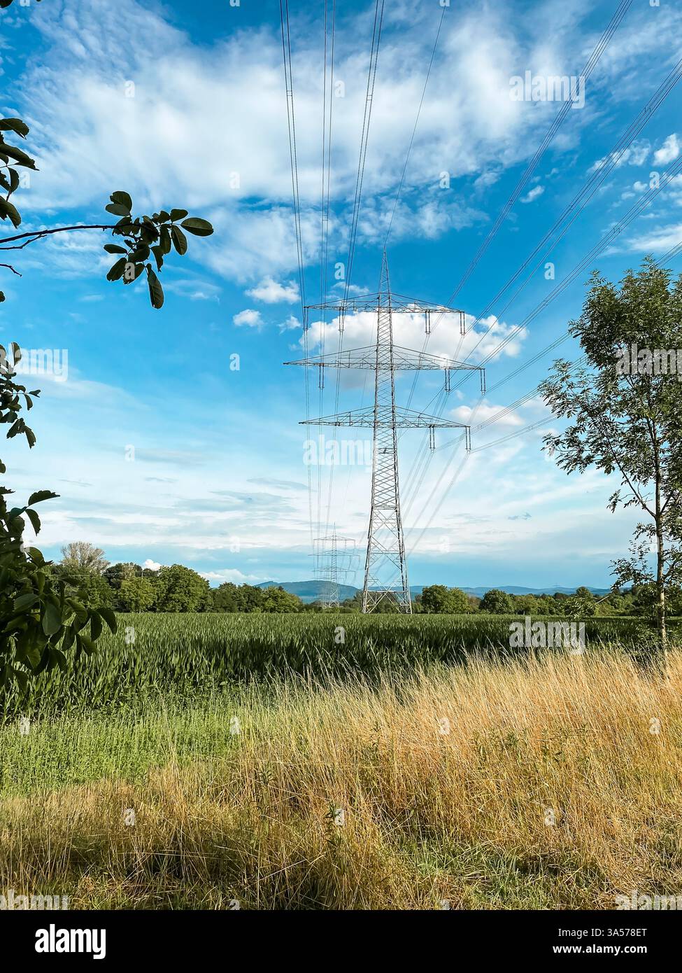 Tall power line tower is seen in the distance, with a clear blue sky ...