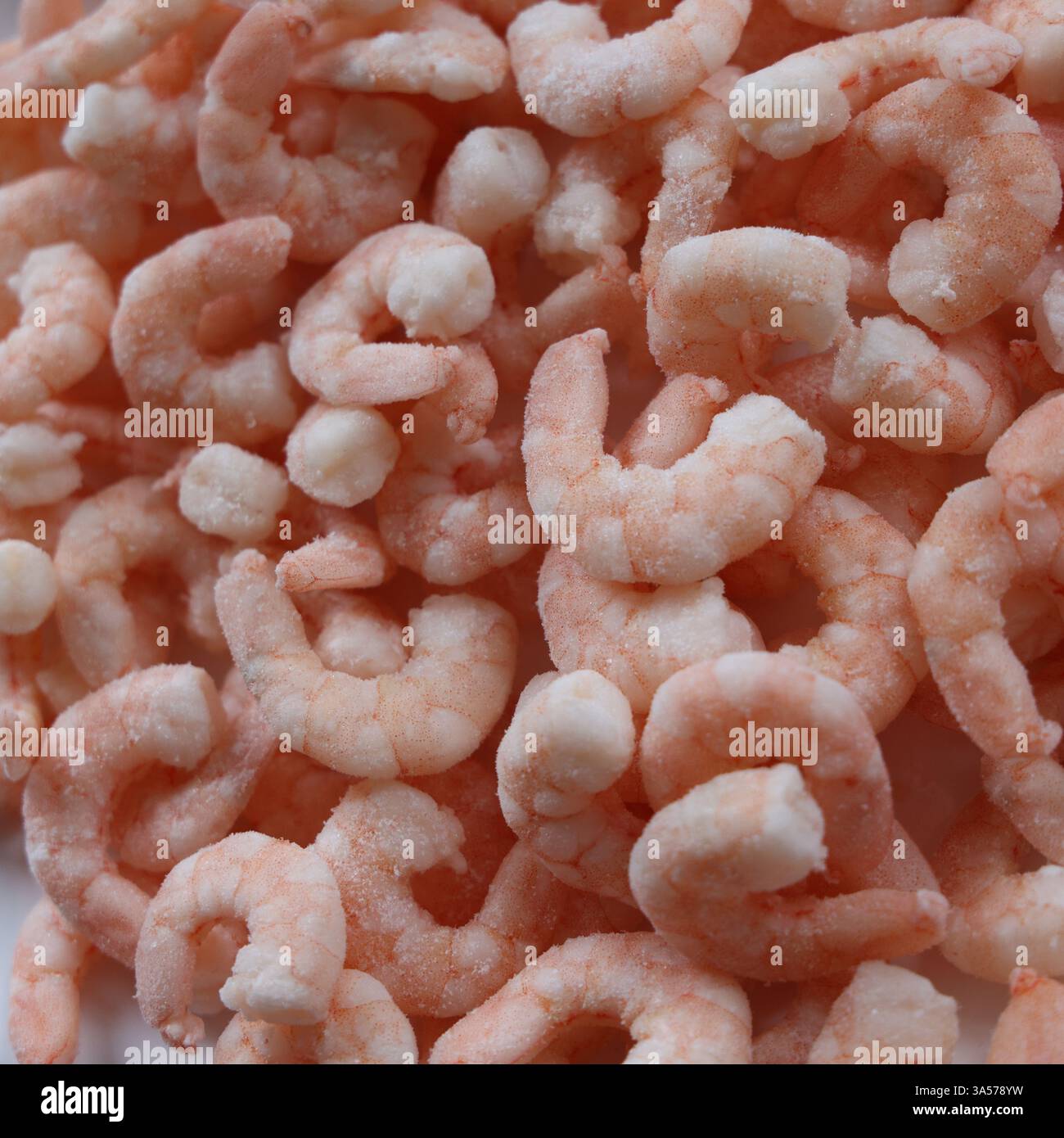 Frozen prawns in a plate Stock Photo - Alamy