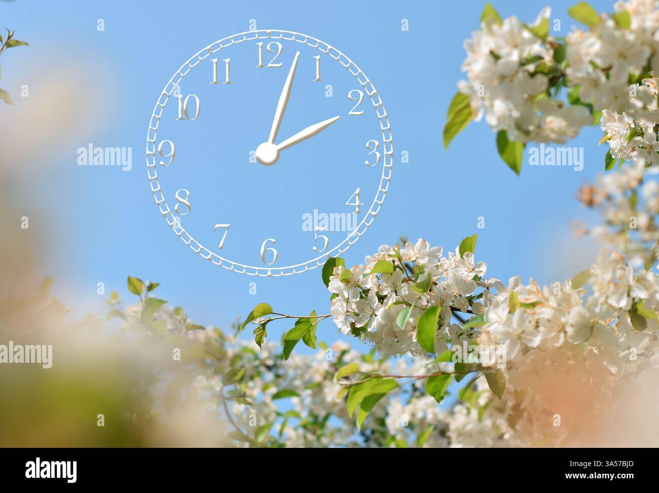 Spring blossom branches and blue sky with clock face, spring forward ...