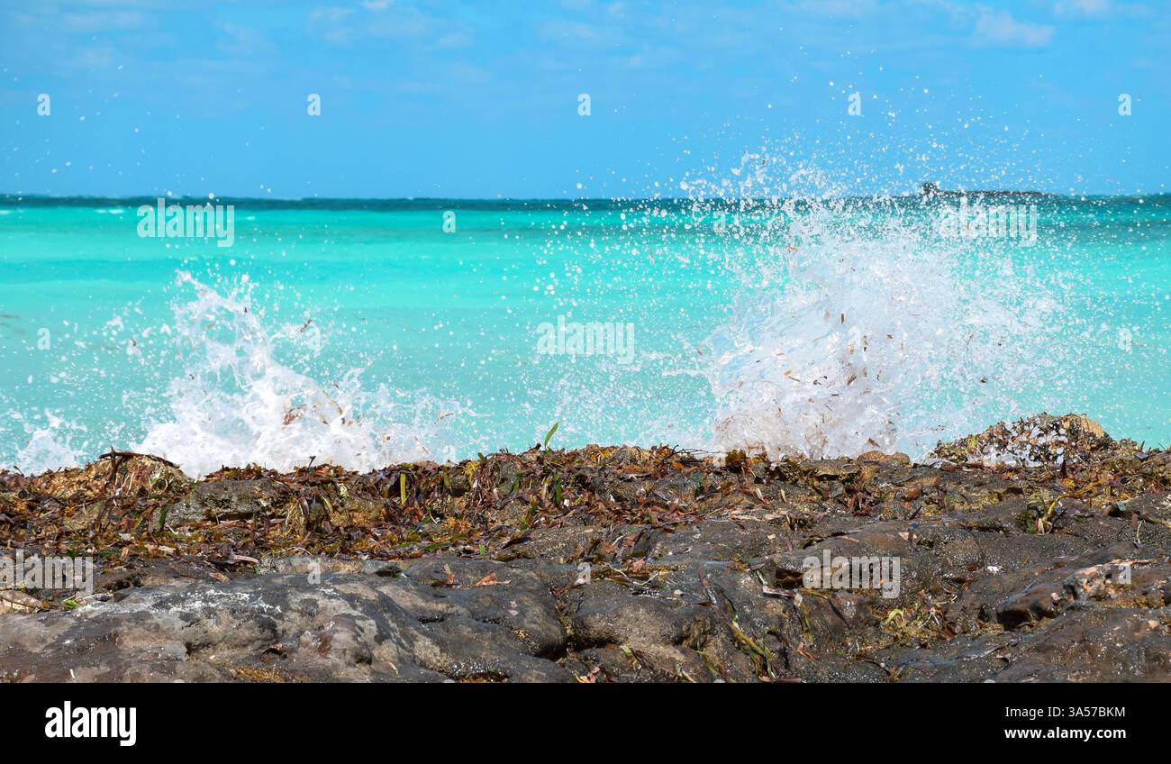 Ocean waves on rock shore hi-res stock photography and images - Alamy