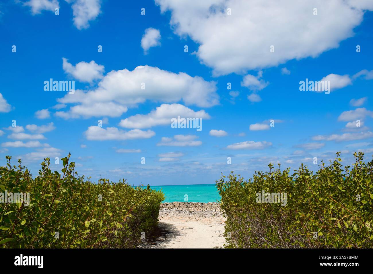 Path between bushes leading to a hidden secluded ocean shore with ...