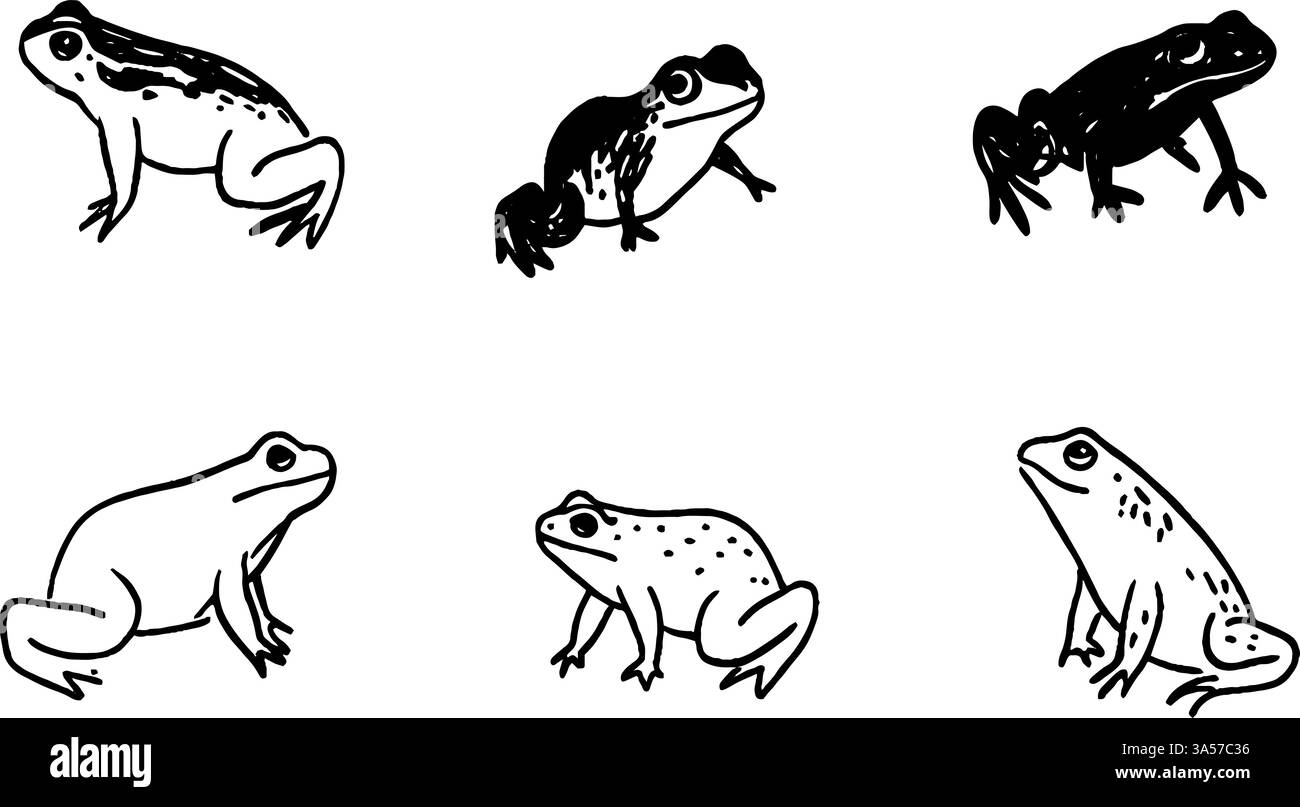 Illustrated Frogs Collection in Black and White Stock Vector Image ...