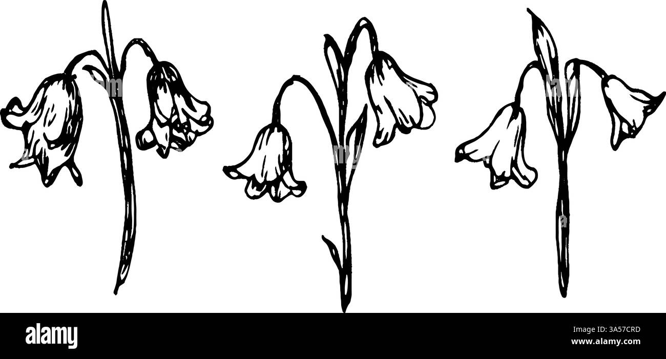 Drooping flowers woman Stock Vector Images - Alamy