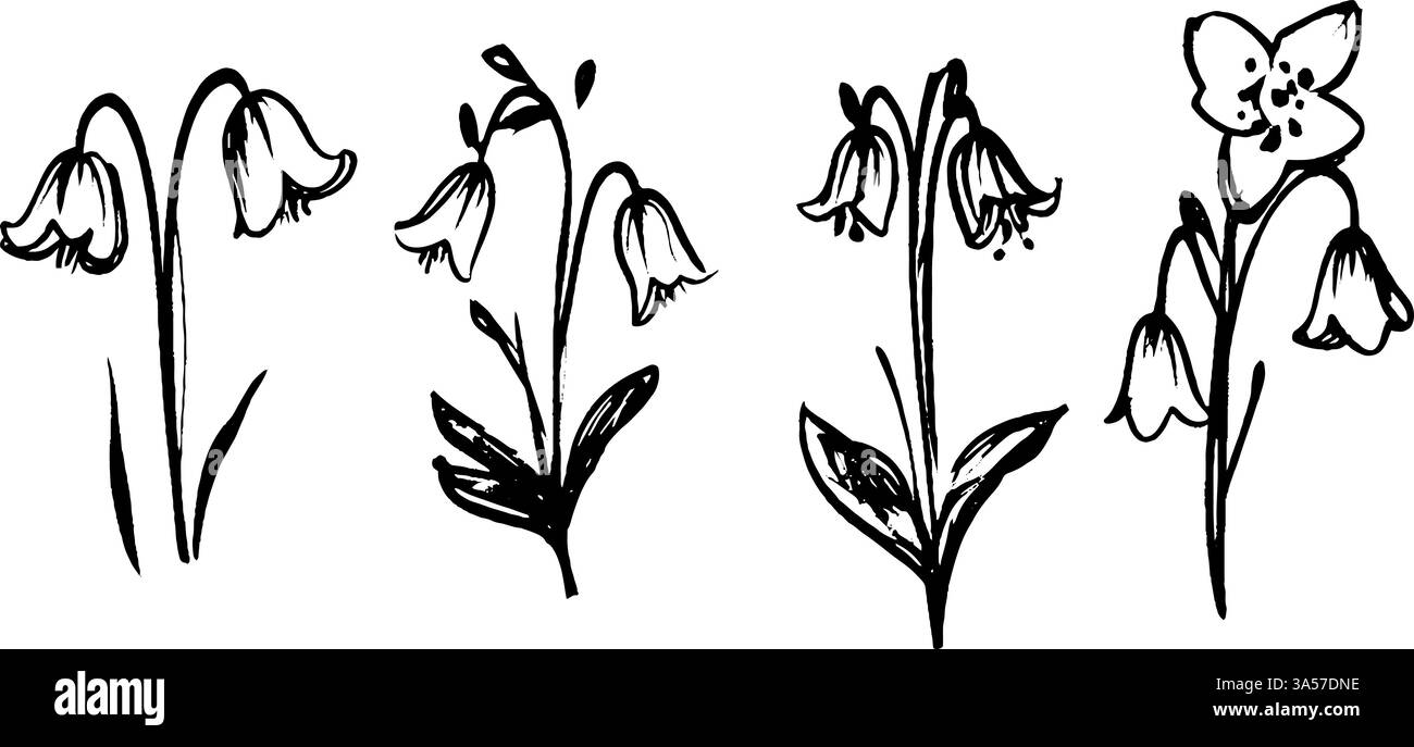 A collection of three hand-drawn floral illustrations featuring bell ...