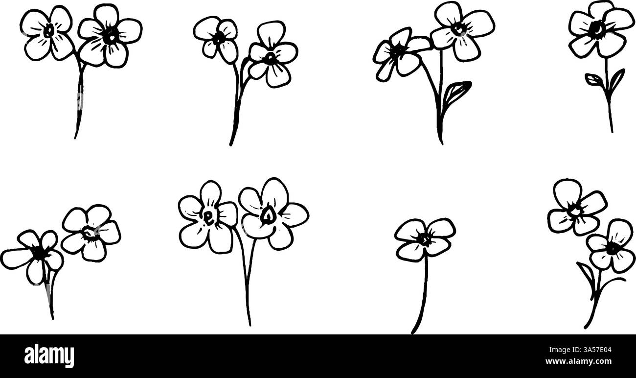 A collection of hand-drawn floral illustrations featuring various ...