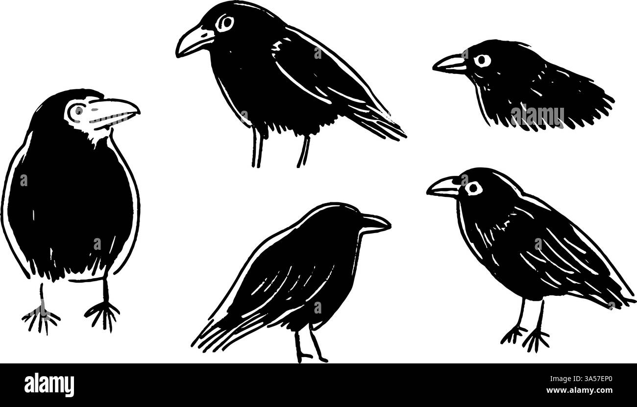 A collection of five stylized black bird illustrations, showcasing ...