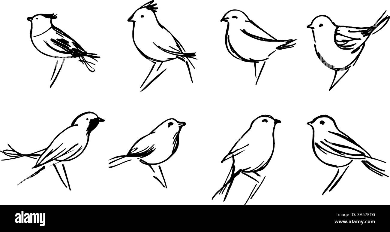 Retro bird sketches hi-res stock photography and images - Alamy