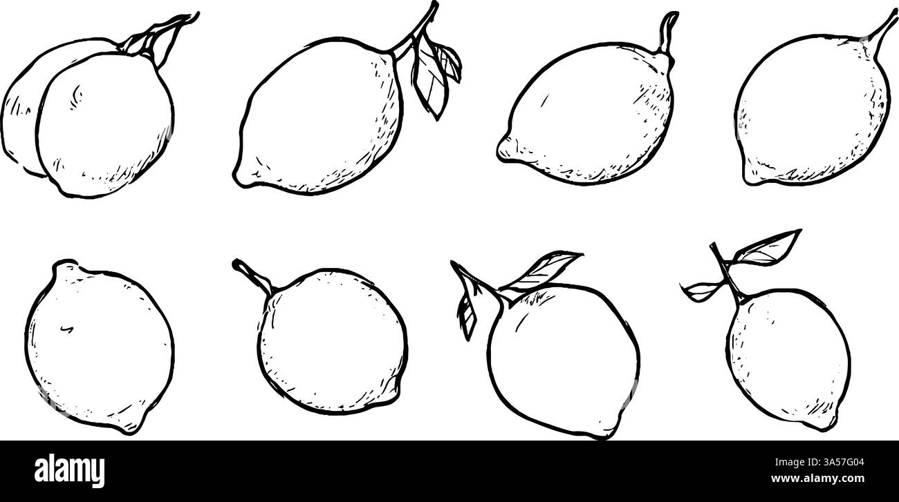 Hand drawn lemon Black and White Stock Photos & Images - Alamy