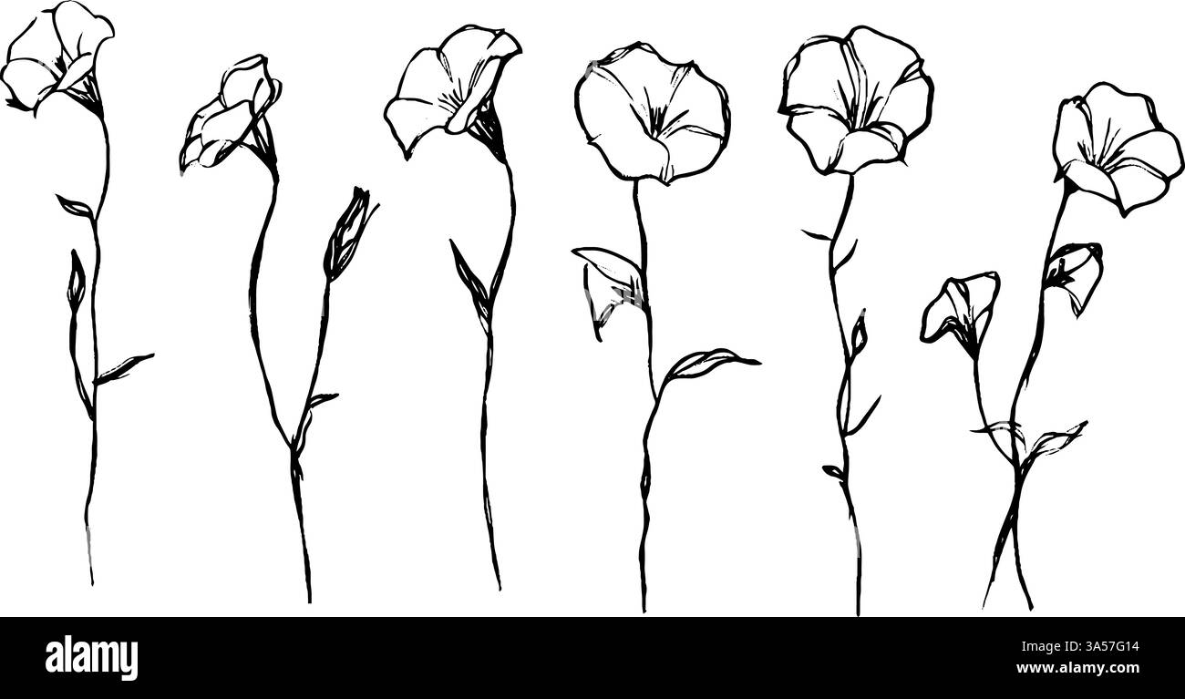 A collection of hand-drawn flowers with slender stems and delicate ...