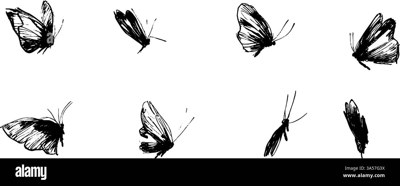 Hand-Drawn Butterflies Collection Stock Vector Image & Art - Alamy