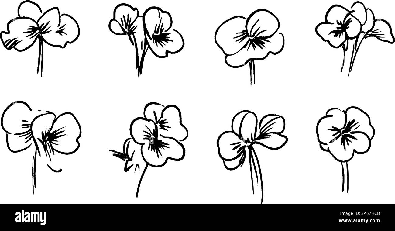 A collection of hand-drawn illustrations of flowers, showcasing various ...